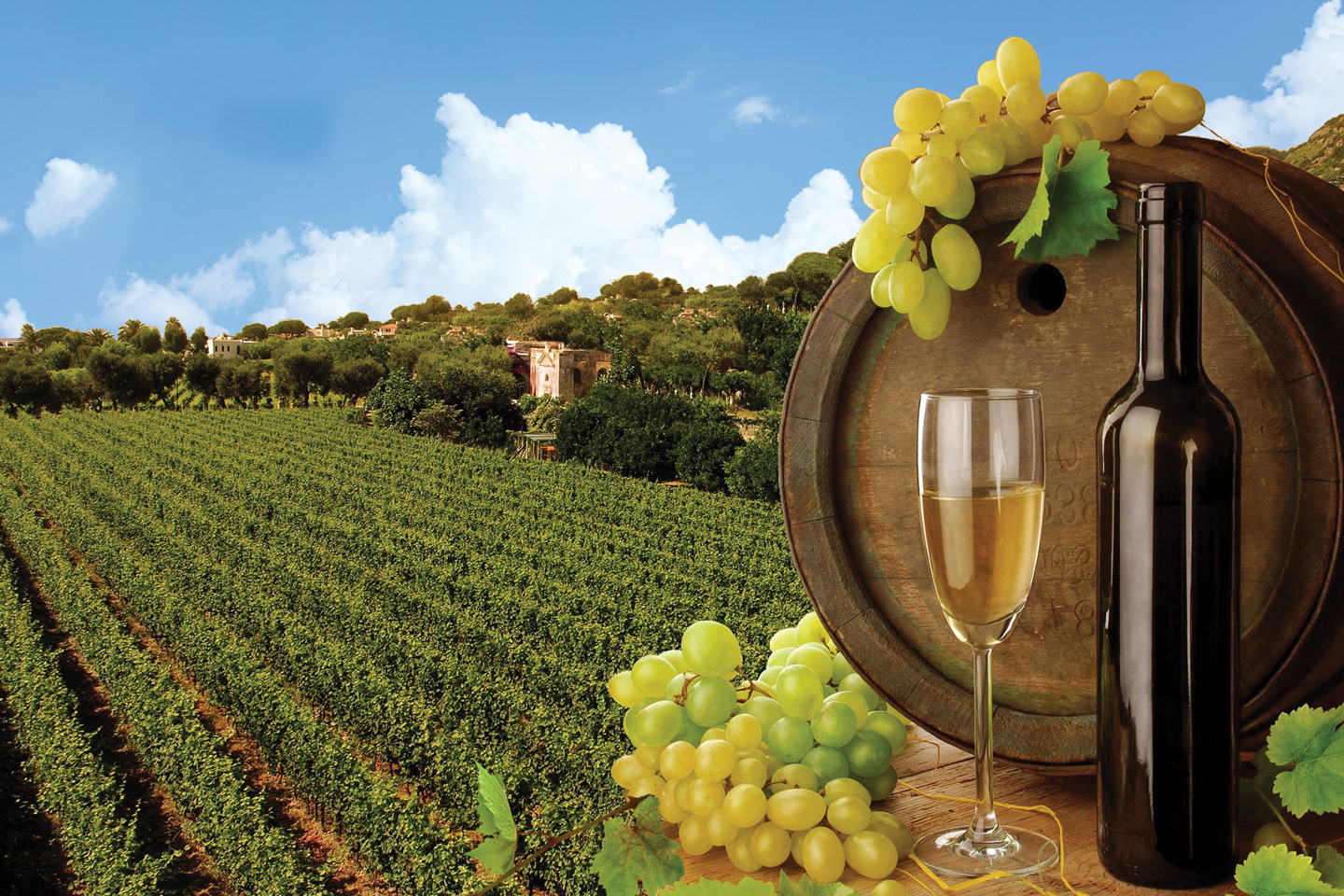 HERZEGOVINA WINE ROUTE - Globtour Event